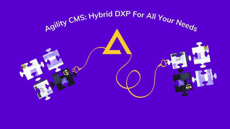Hybrid Dxp What Are They And How They Transform Enterprises Agility Cms